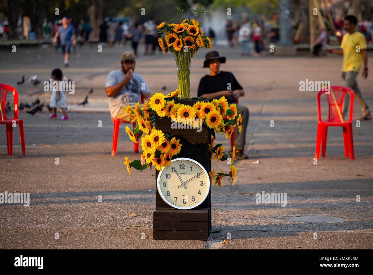 Chiang Mai, Thailand. 03rd Feb, 2023. A view of sunflower with clock ...