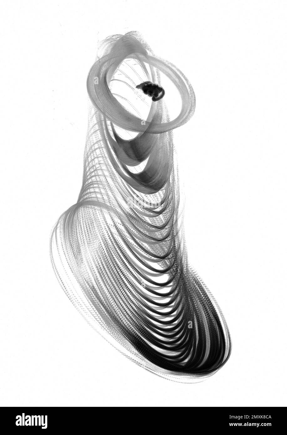 Bright background, black and white, abstract figures, long exposure ...