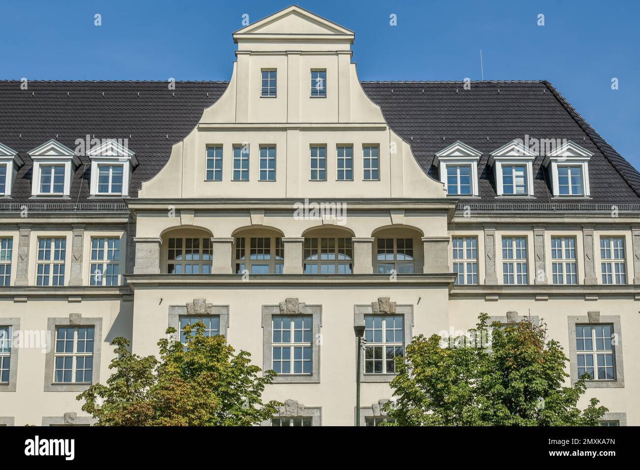 Deutsche Gesellschaft für Internationale Zusammenarbeit GIZ ...