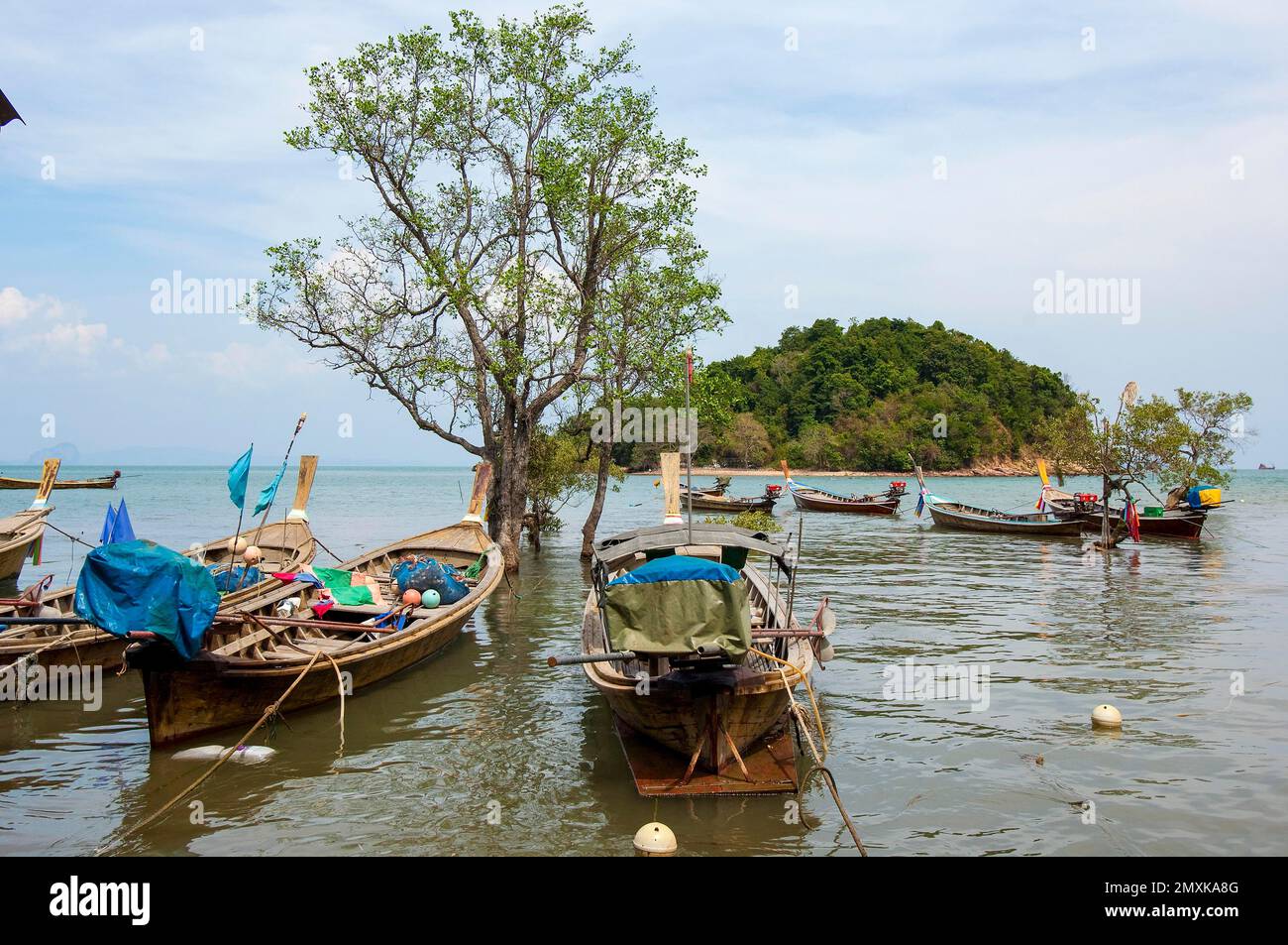 Typical simple Thai fishing boats are tied to tree in water, Koh Lanta Island, Krabi Province ...
