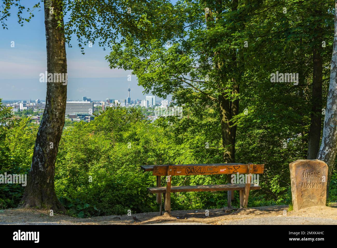 Skyline of Düsseldorf, Grafenberg Forest, Beautiful View, Rhine Tower ...