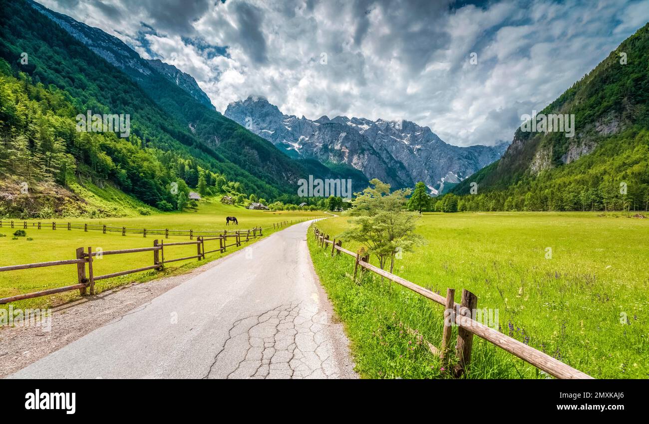 Beautiful path leading to a mountain, path surrounded by greenery and ...