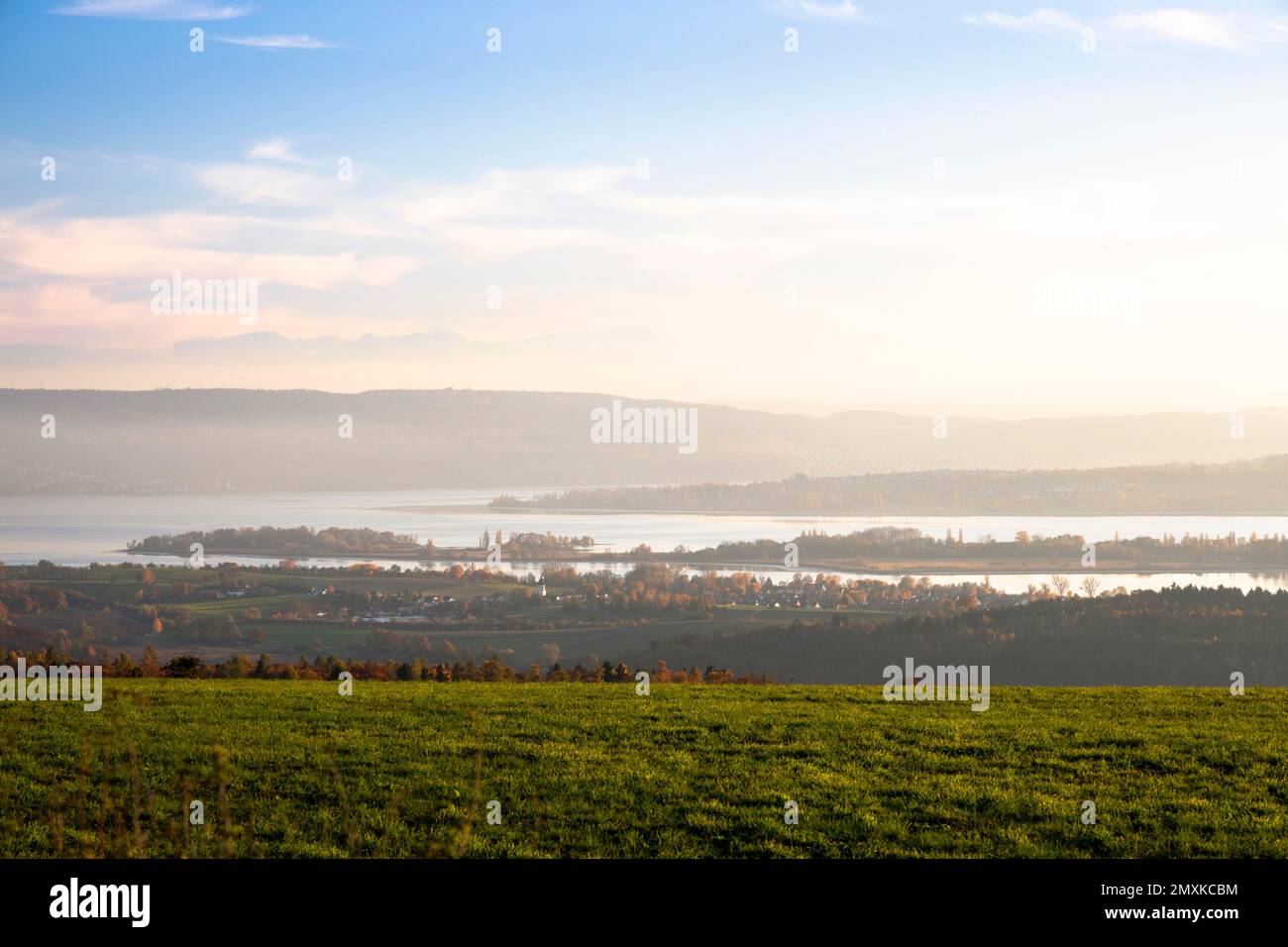 Colourful autumn colours in the forest near Liggeringen, Bodanrück ...