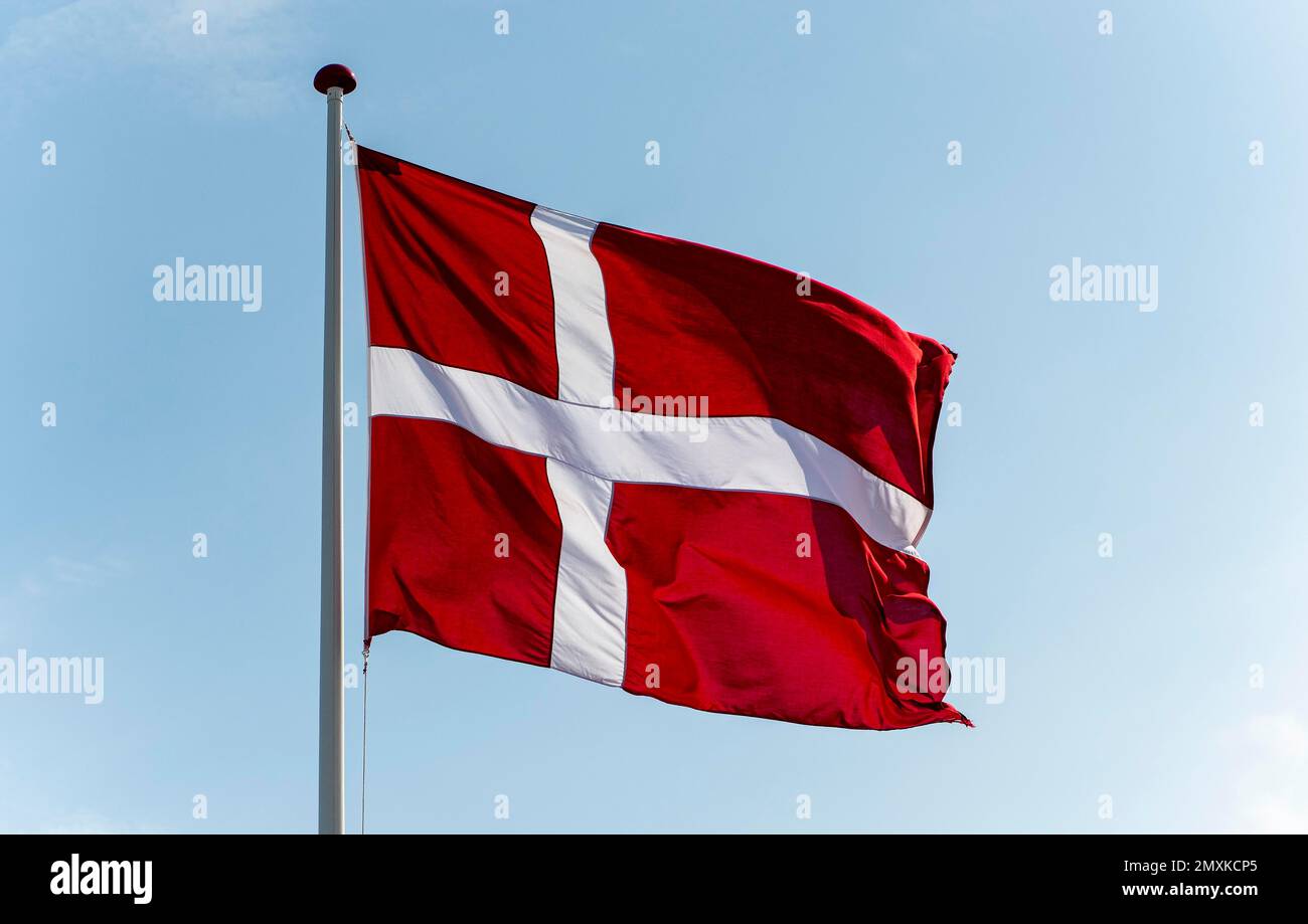The Danish flag, the danebrog, flies in the wind in Hvide Sande ...