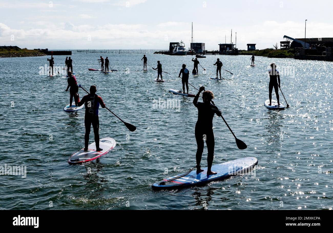 Stand-up paddler on the Hvide Sande Canal, Hvide Sande, Denmark, Europe ...