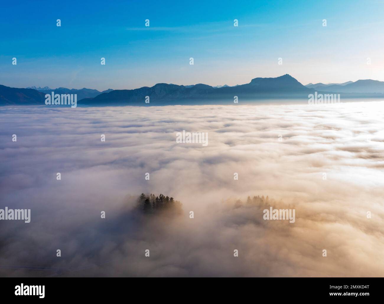 Rising from the ground hi-res stock photography and images - Alamy