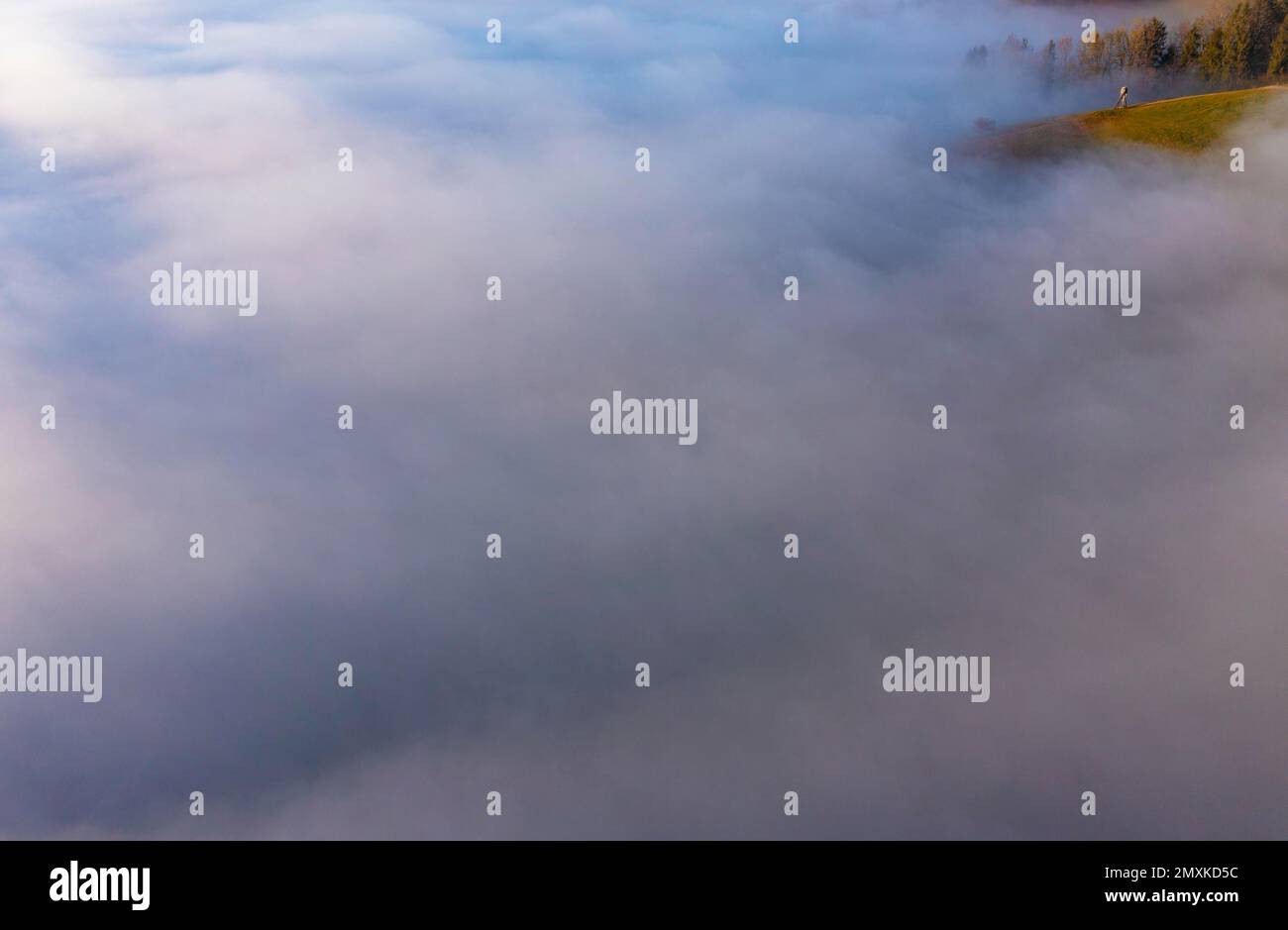 Drone shot, group of trees with hunter's peak rising out of the ground ...