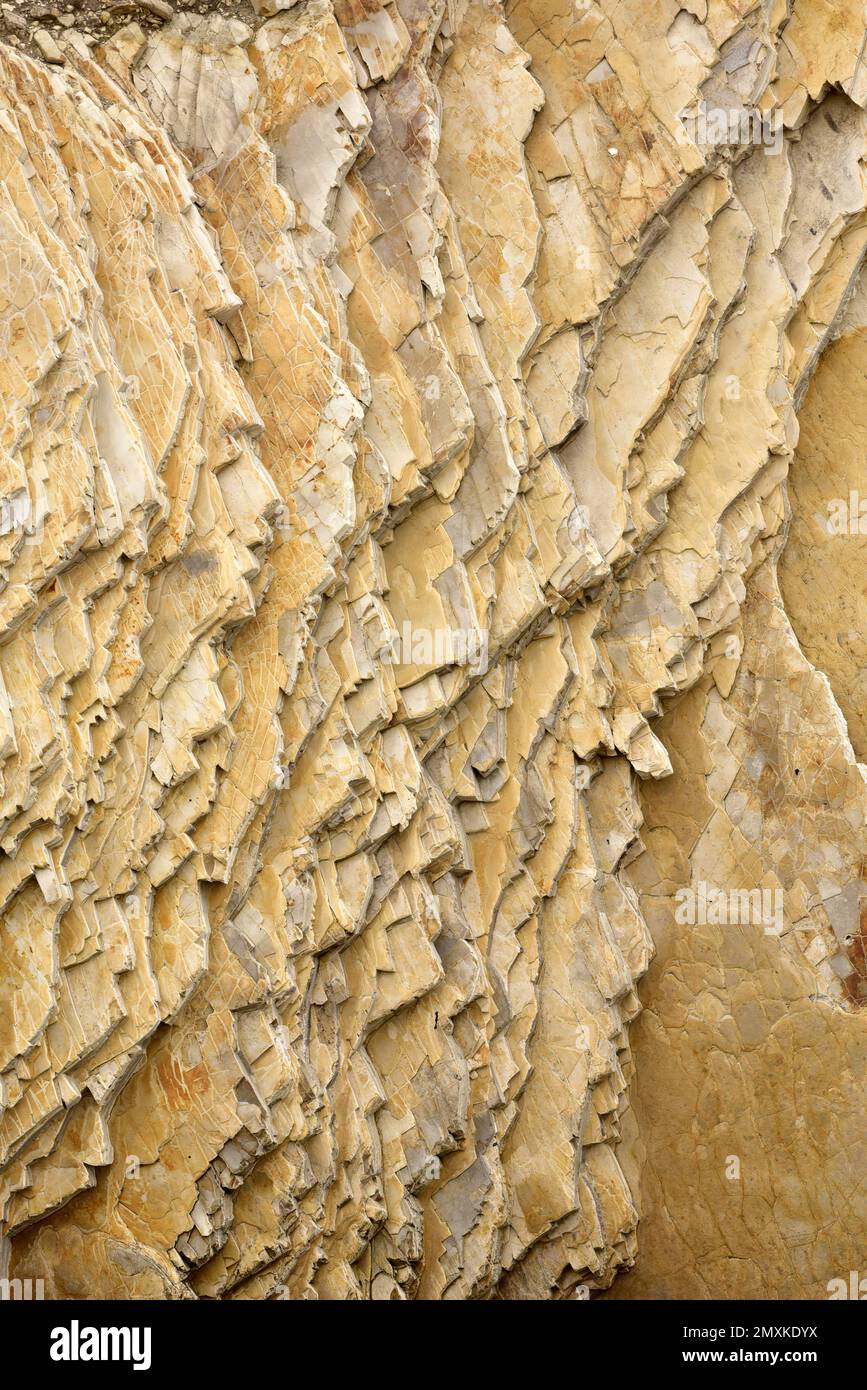 Abstract sandstone rock patterns, Montana de Oro State Park Stock Photo ...