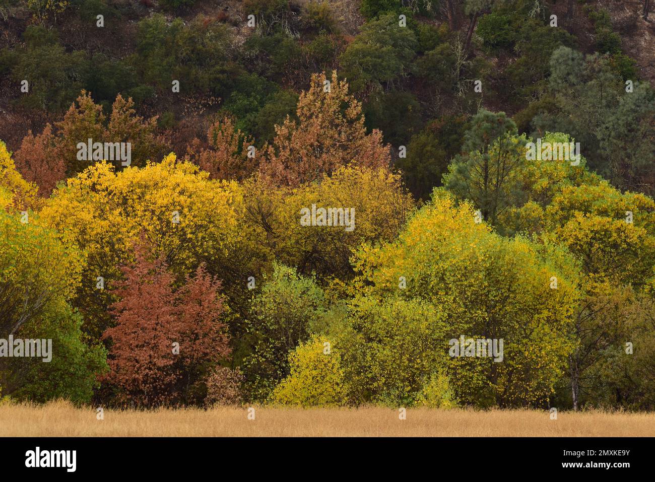 Jolon, Monterey County, California autumn landscape along the San ...