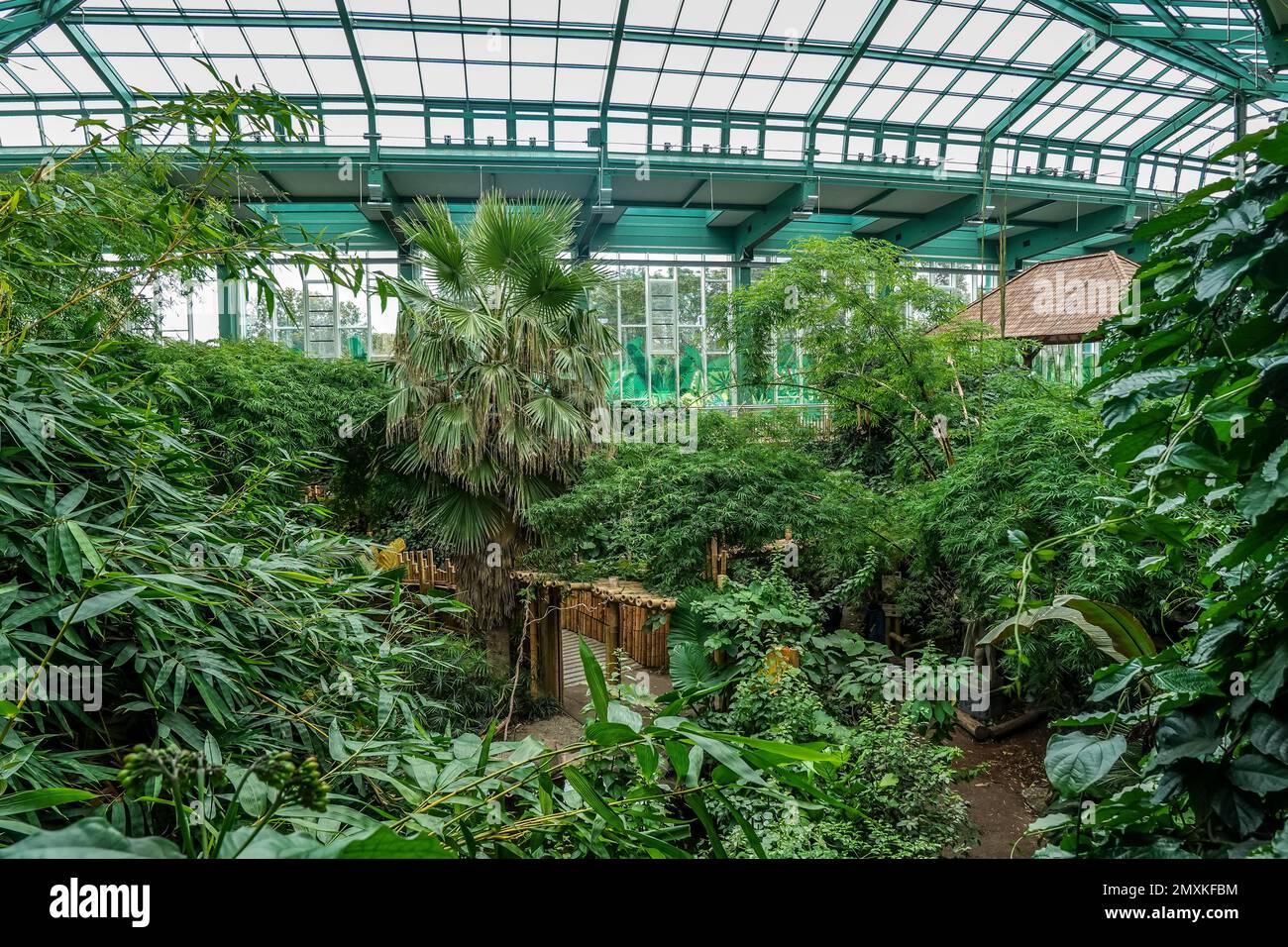Rainforest House, Alfred Brehm House, Zoo, Friedrichsfelde, Lichtenberg ...