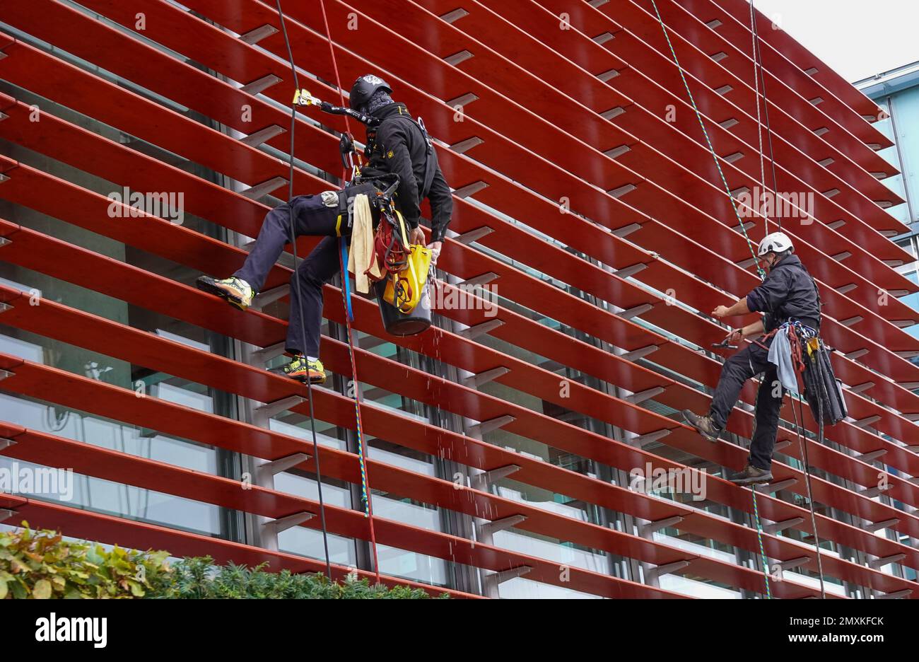 Window cleaner at work, Mitte, Berlin, Germany, Europe Stock Photo - Alamy