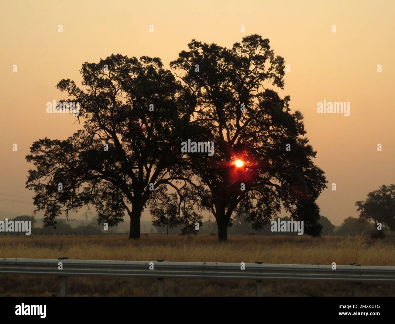 Smoke filters hi-res stock photography and images - Alamy