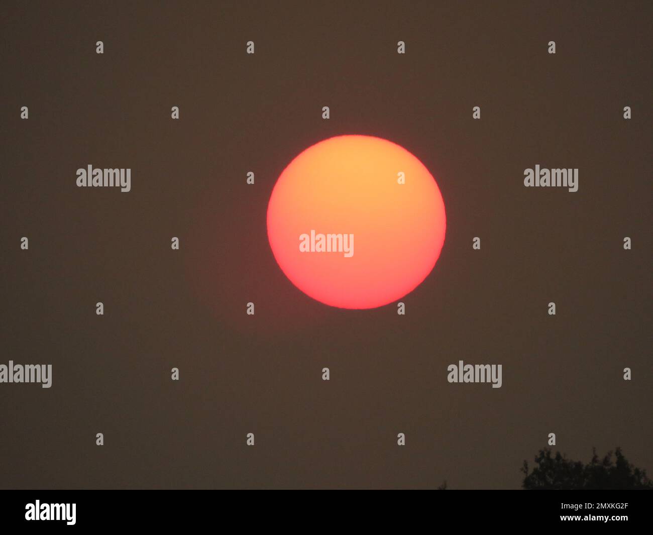 Wildfire sun hi-res stock photography and images - Alamy