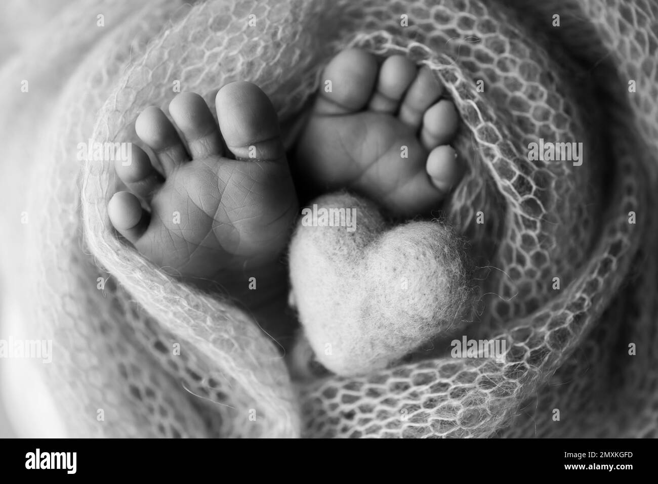 The tiny foot of a newborn baby. Soft feet of a new born in a wool ...