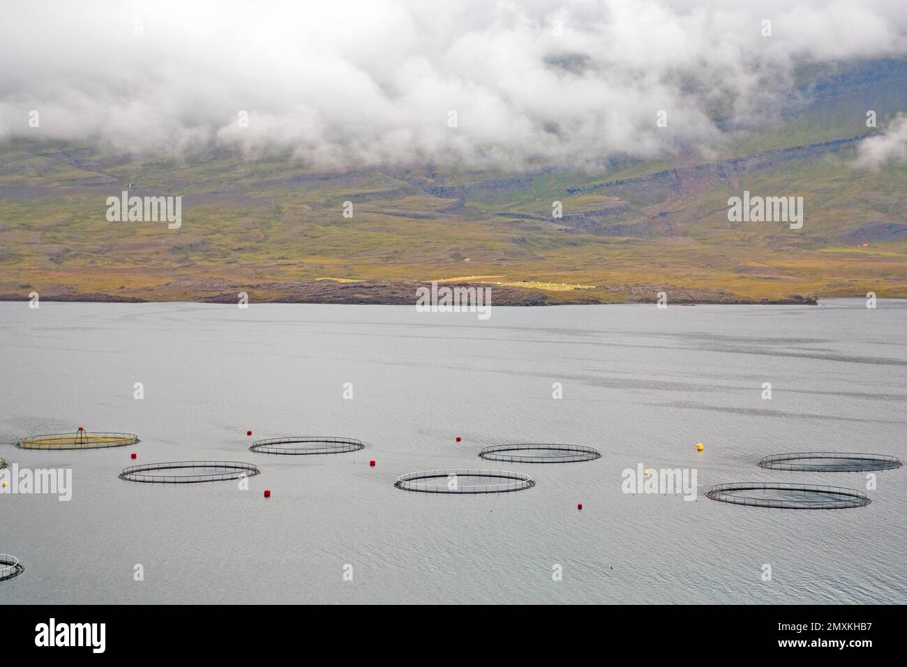 Fish farm, Iceland, Europe Stock Photo - Alamy