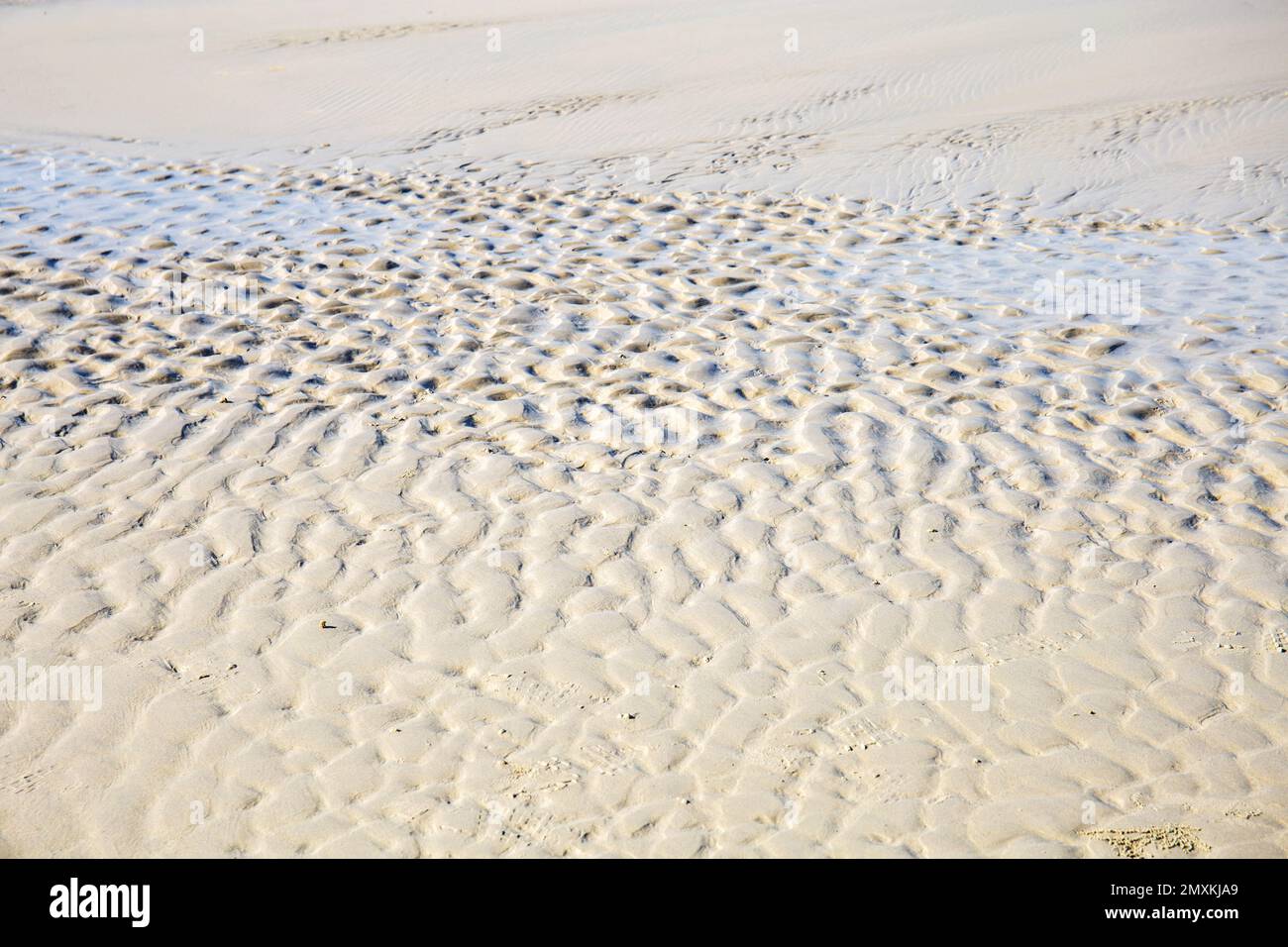Sand on beach at sea with background Stock Photo - Alamy