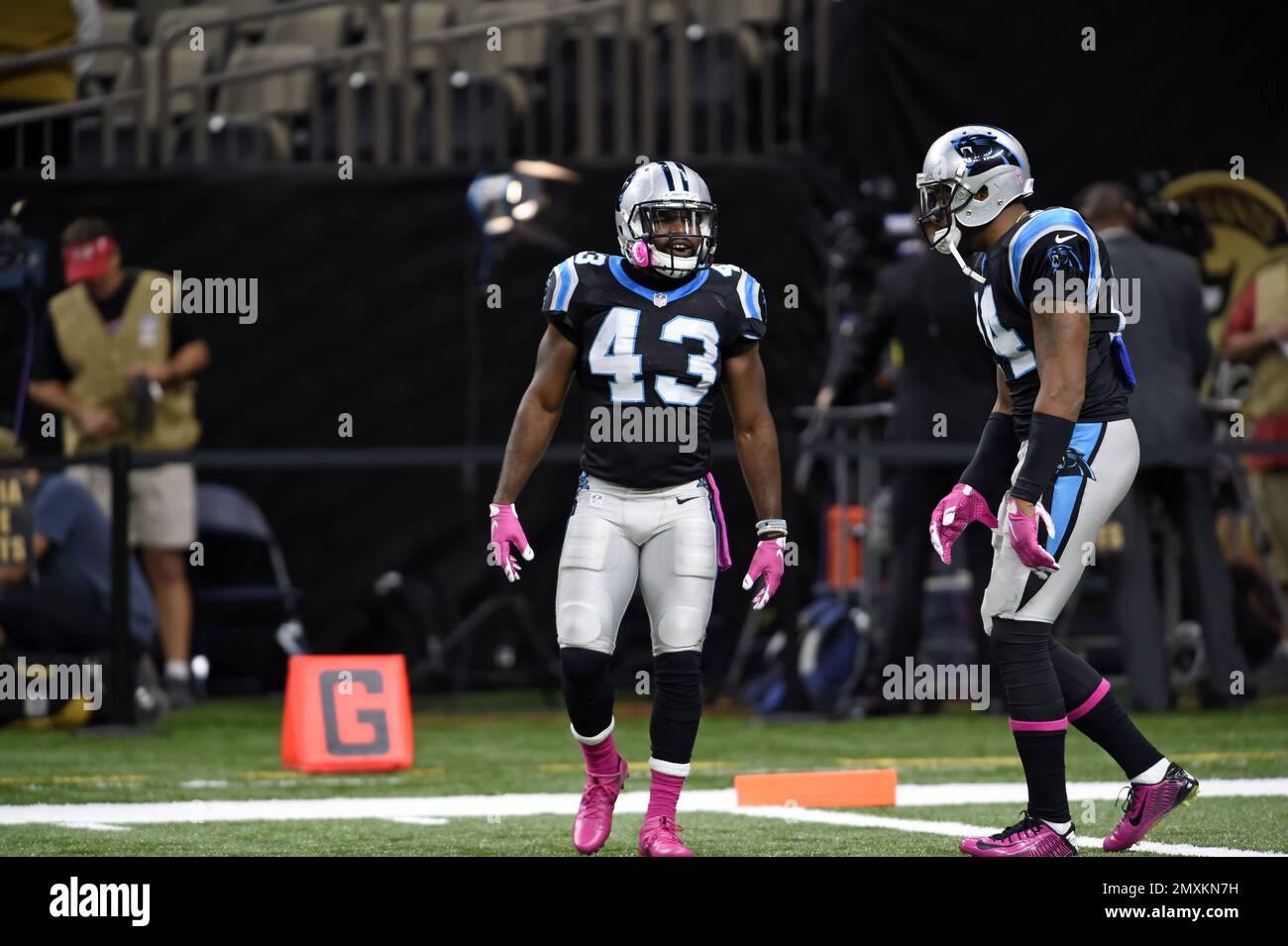 Carolina Panthers running back Fozzy Whittaker (43) and quarterback Joe ...
