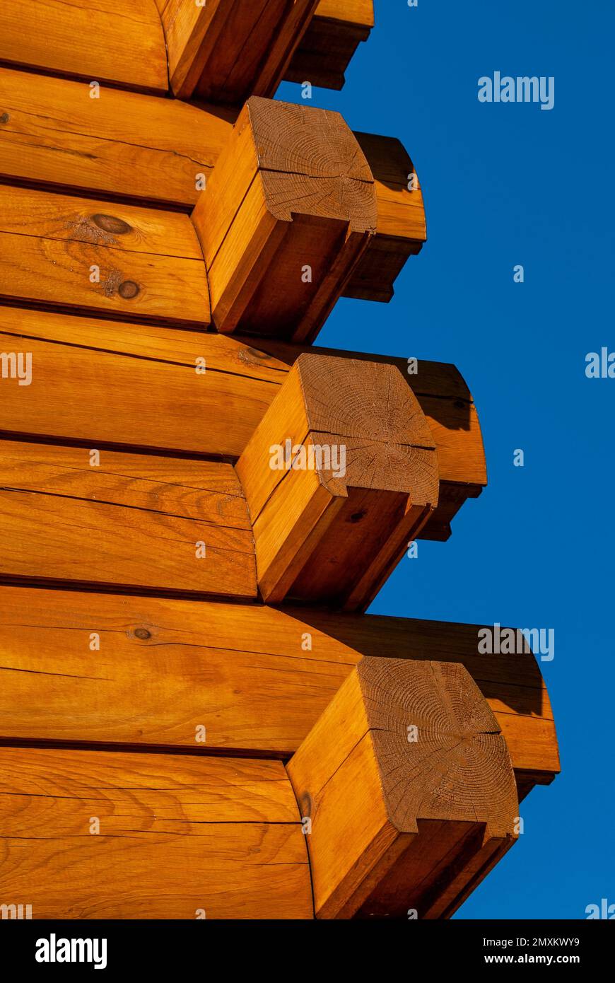 Modern, sturdy, log building construction showing corner joint work ...