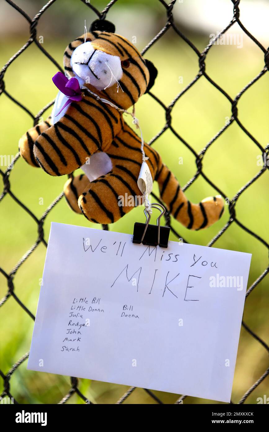 A stuffed tiger and cards line the enclosure as fans pay respect for ...