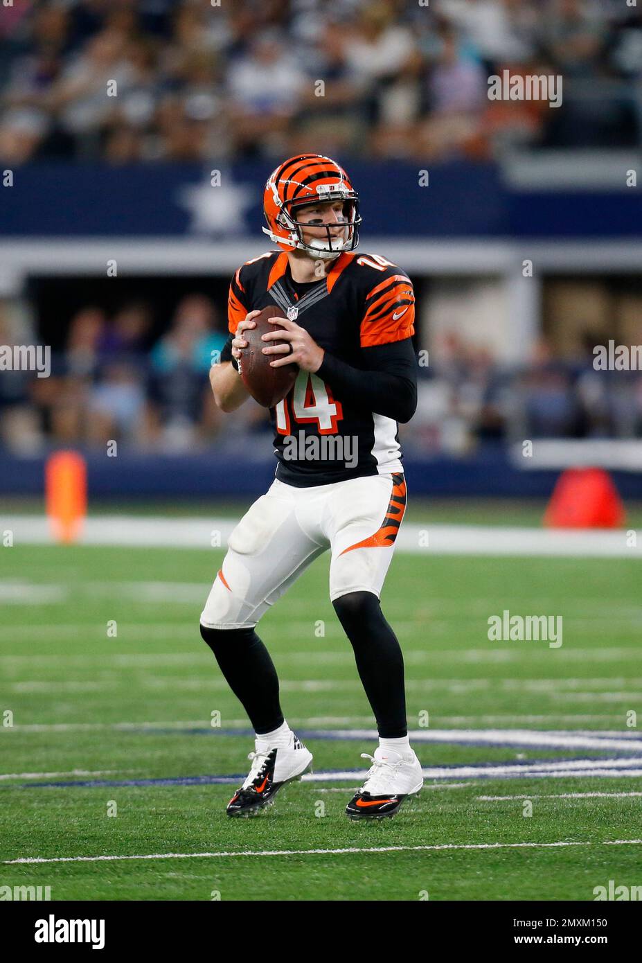 Cincinnati Bengals quarterback Andy Dalton (14) prepares to pass ...