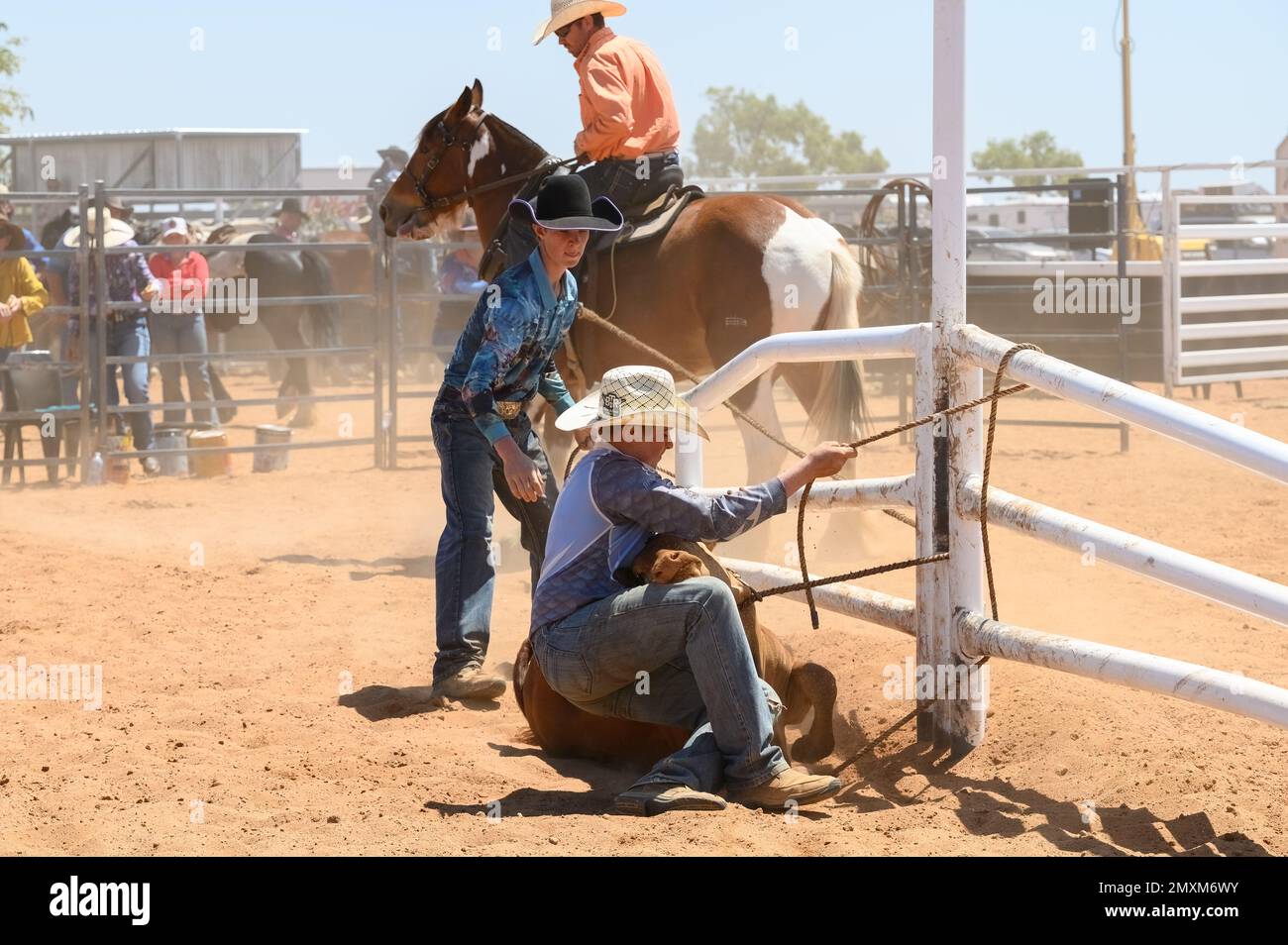 Bronco branding is a timed event where a catcher ropes a calf in a mob ...