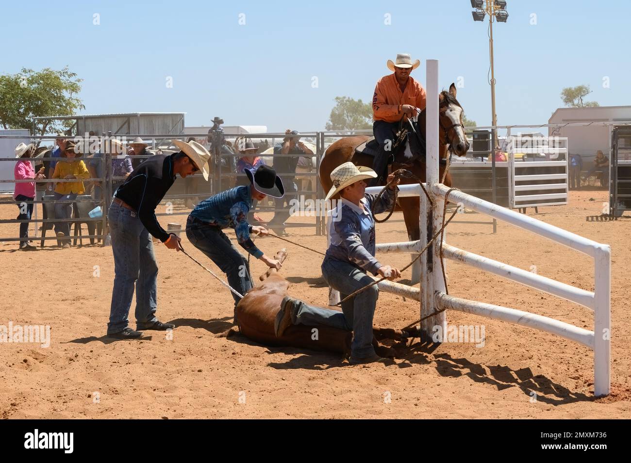 Bronco branding is a timed event where a catcher ropes a calf in a mob ...