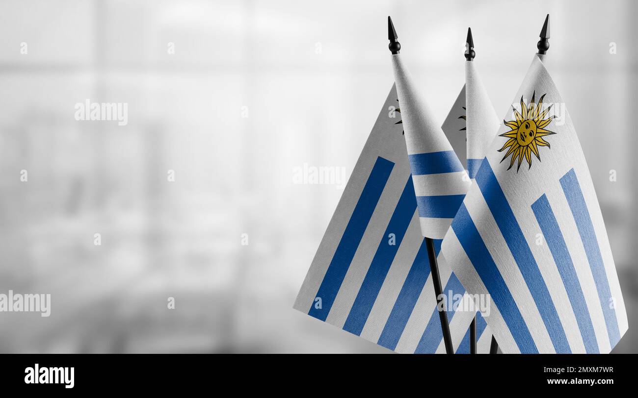 Small flags of the Uruguay on an abstract blurry background Stock Photo ...