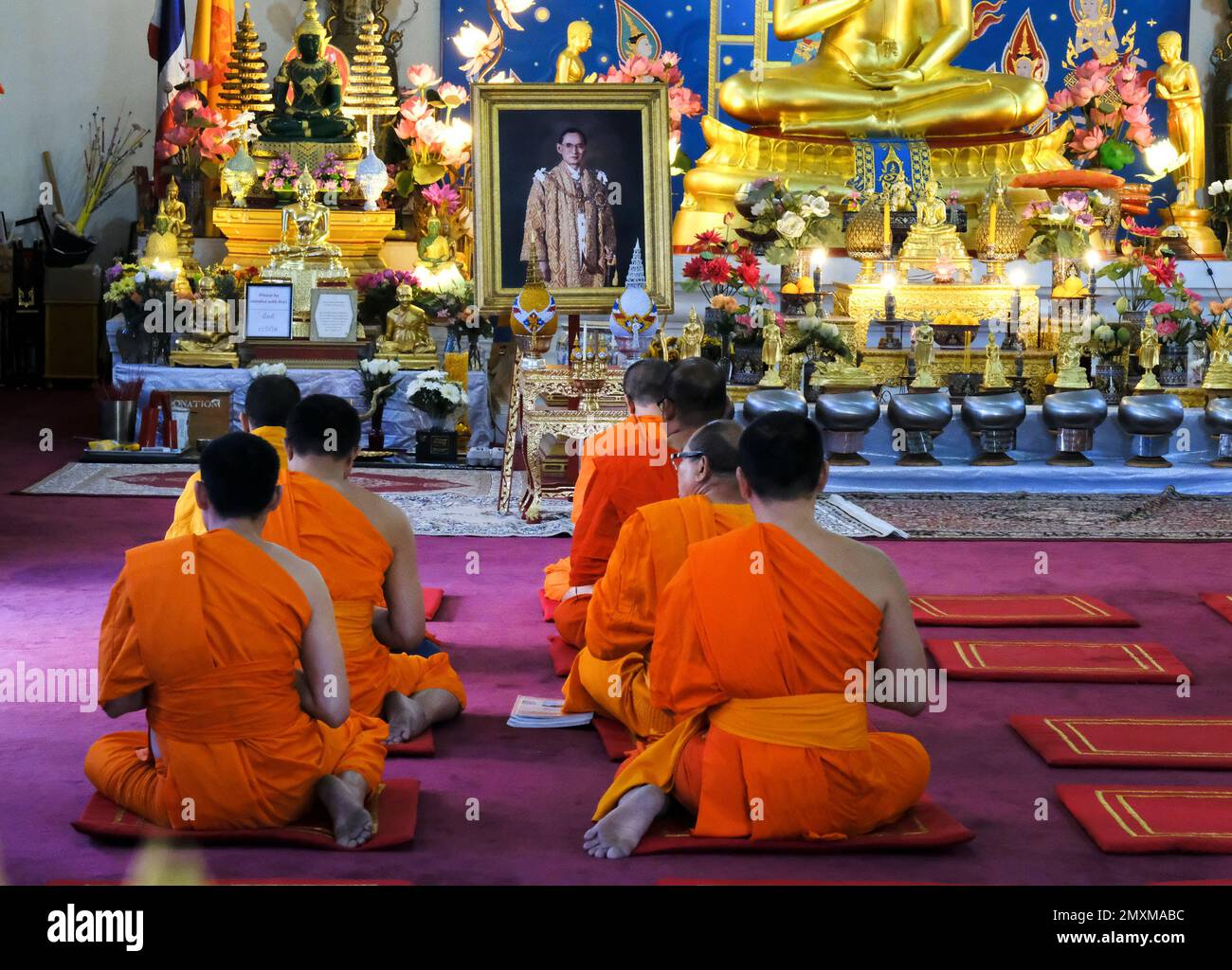 Buddhist Monks pray in front to a portrait of Thai King Bhumibol ...