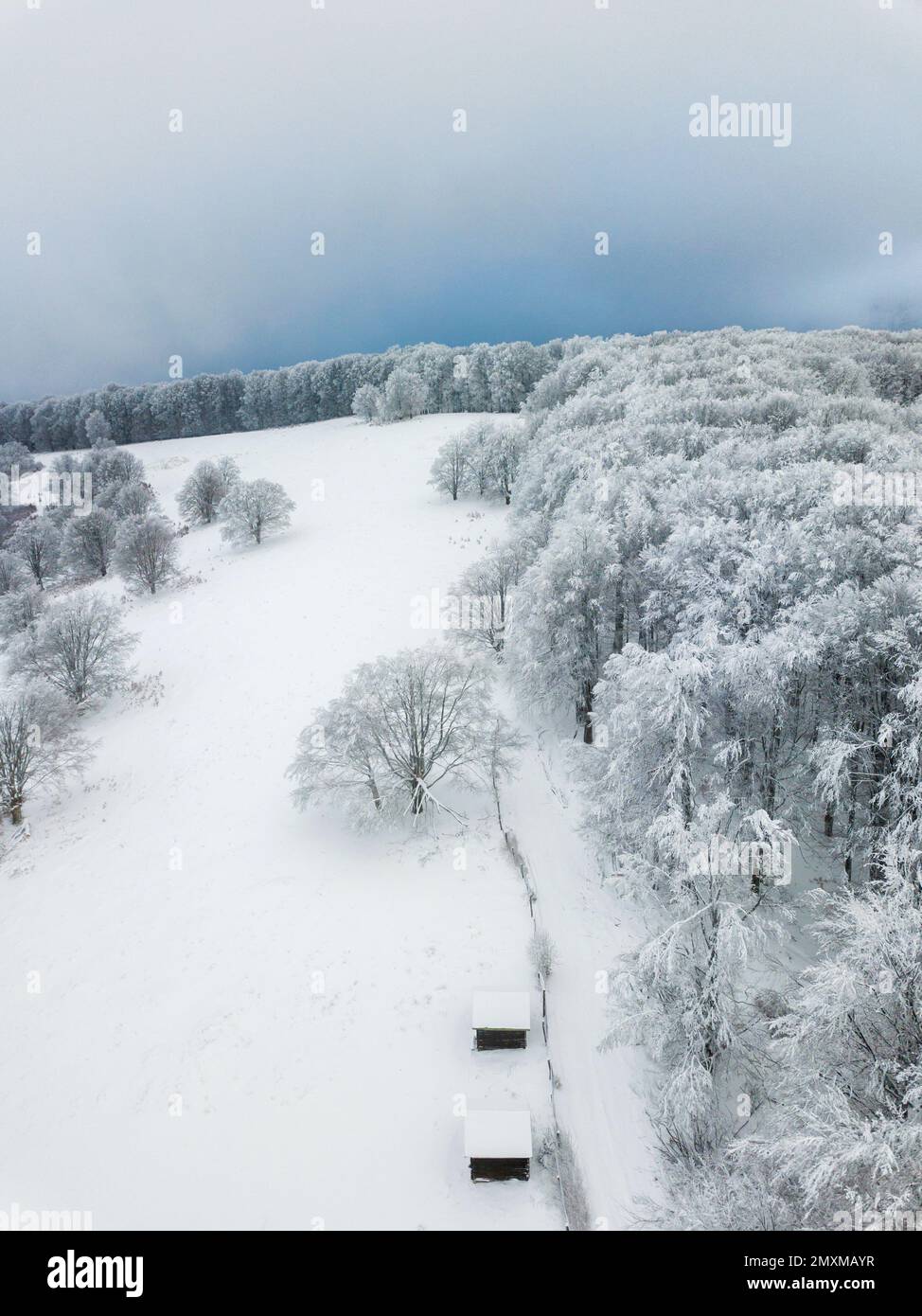 Aerial view snowy forest frozen hi-res stock photography and images - Alamy