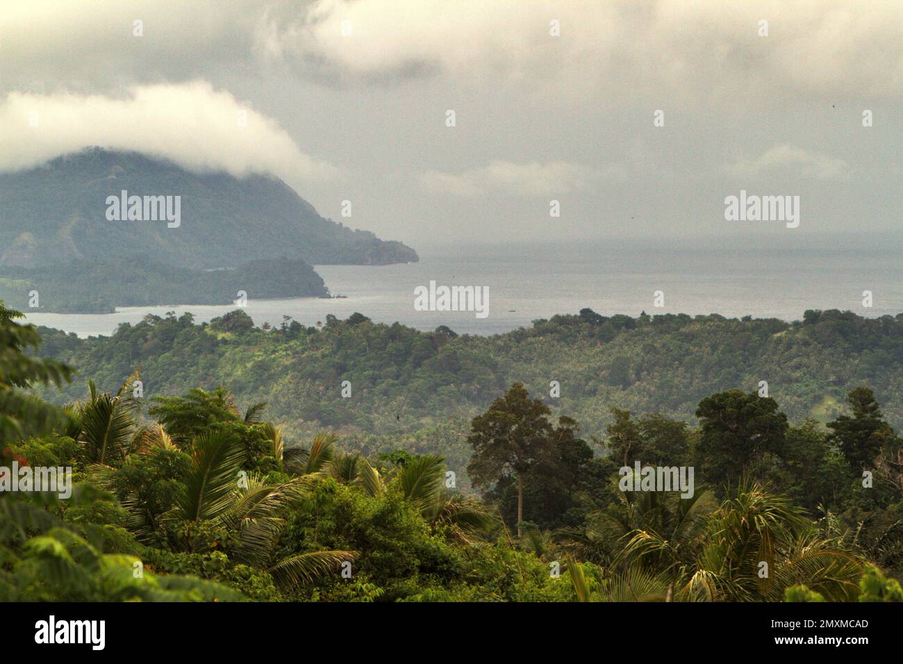 Coastline and lowland rainforest near Tangkoko and Dua Saudara mountain ...