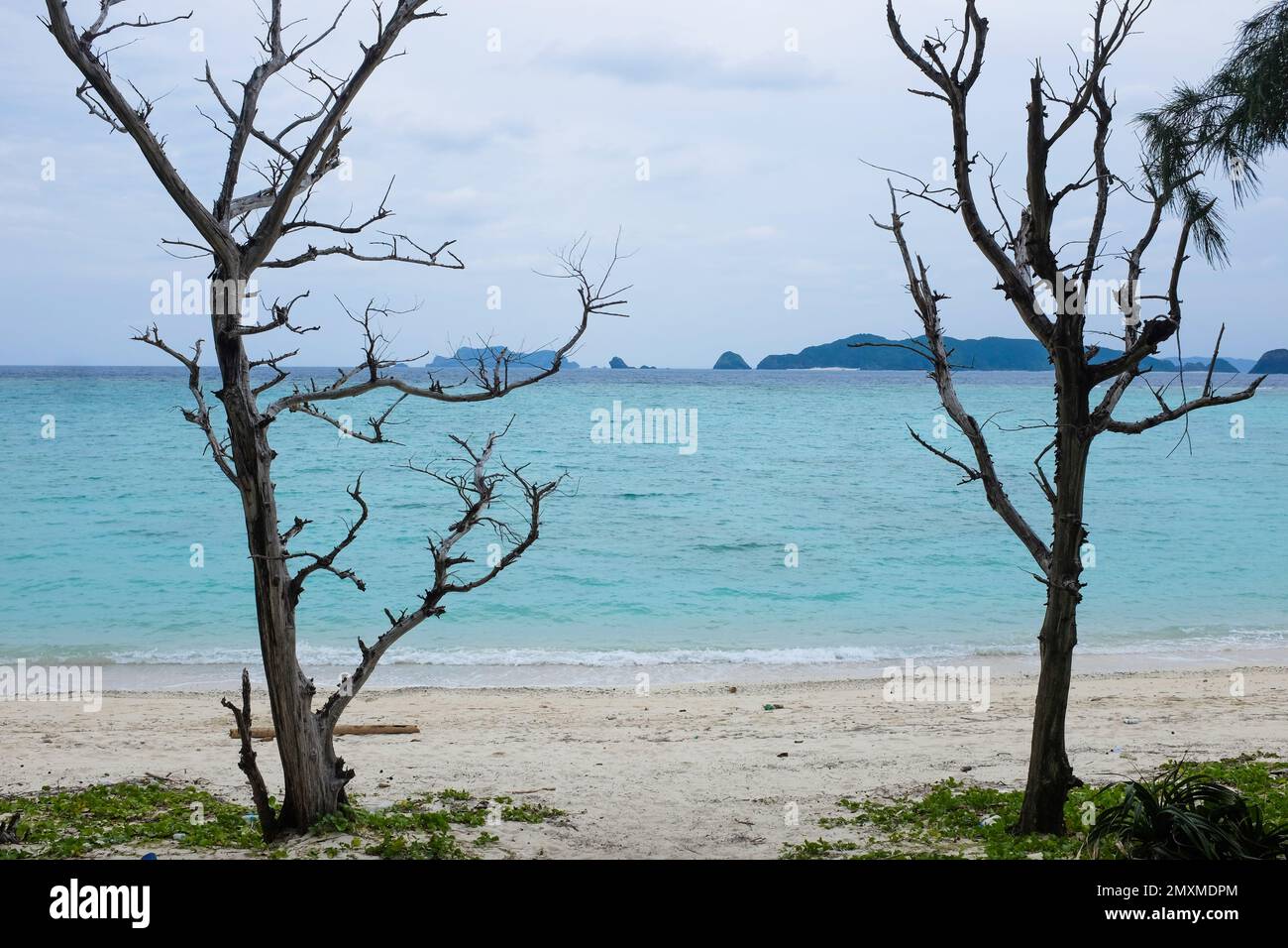 A beach in Okinawa, Japan Stock Photo - Alamy