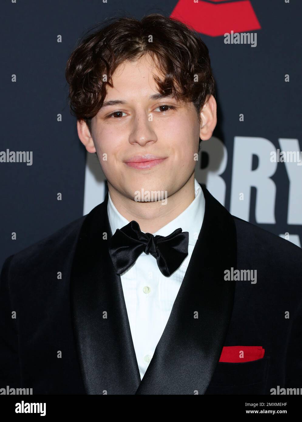 Los Angeles, USA. 03rd Feb, 2023. Ari Elkins arrives at The Musicares ...