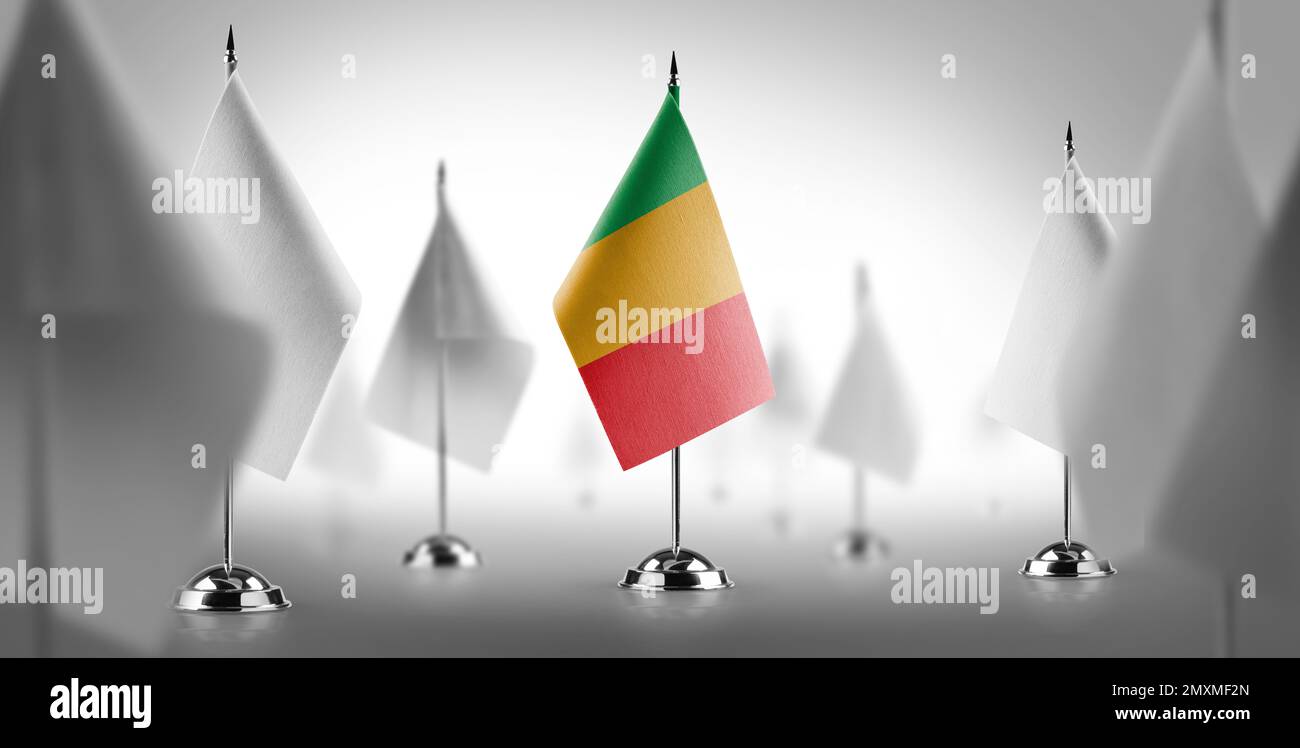 The national flag of the Mali surrounded by white flags Stock Photo - Alamy