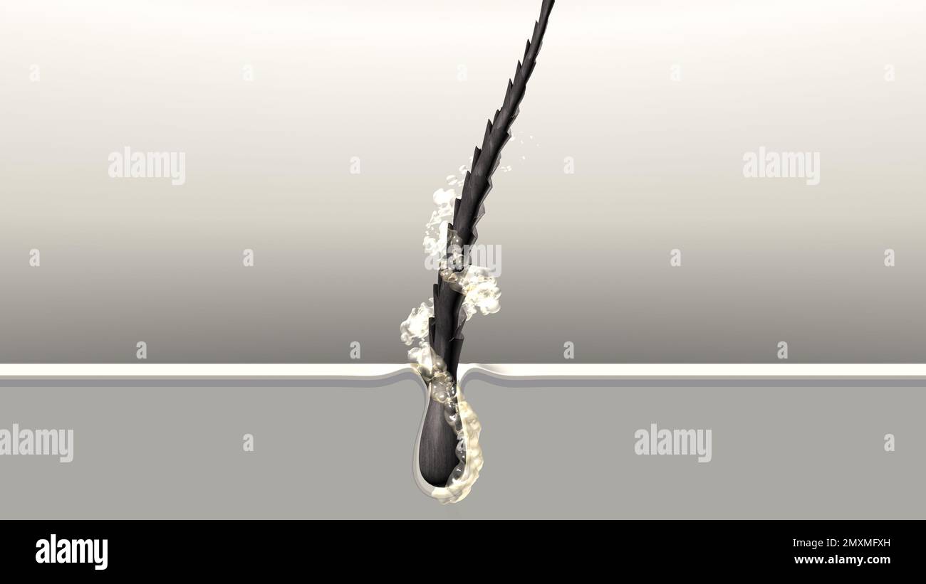 Strengthening roots of the hair. The splash of oils or conditioner ...