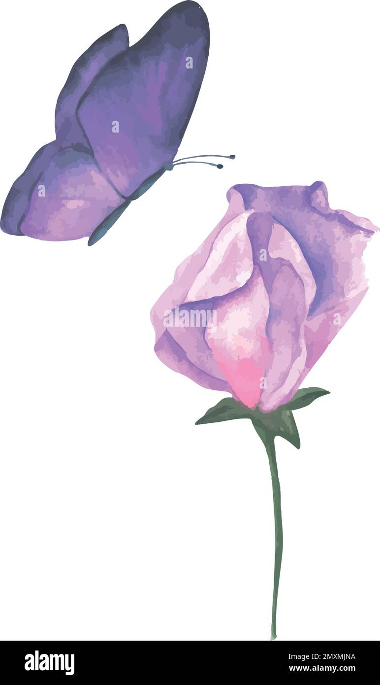 Nature background with blossom branch of sweet pea and butterfly Stock ...