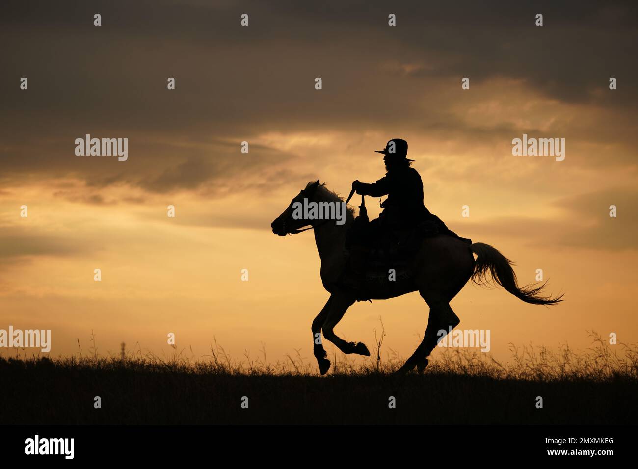 cowboy on his horse during the run of the horses and, in background, a ...