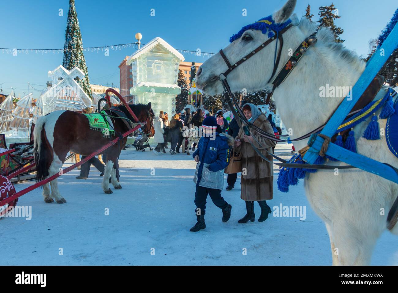 Chelyabinsk, Russia - January 05, 2022. A horse harnessed to a sleigh ...