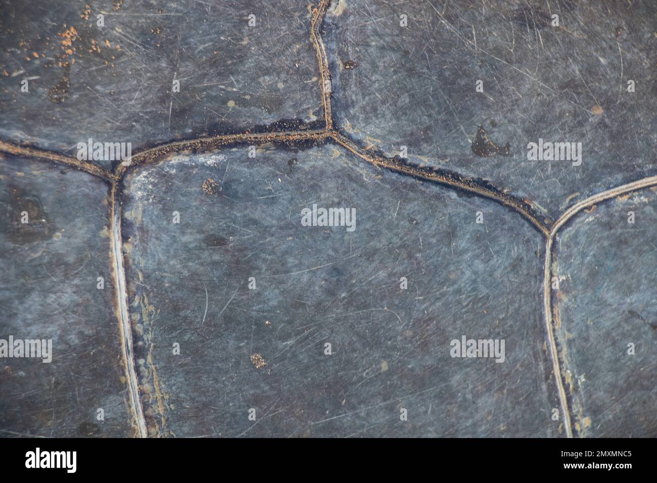 tortoise shell as a background Stock Photo - Alamy