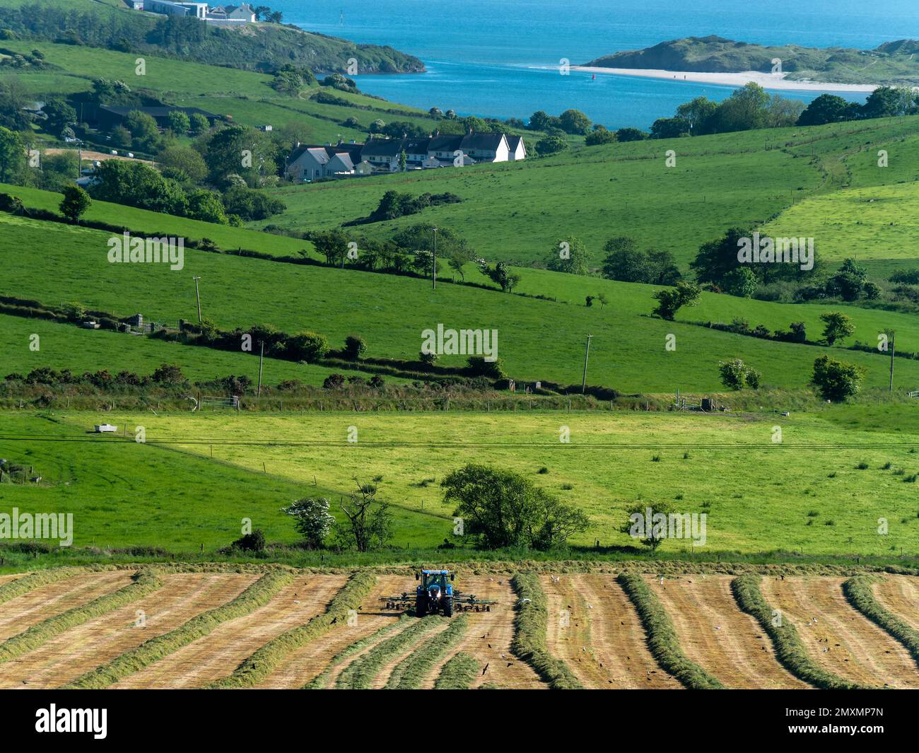 Tractor in the field, spring. Picturesque agrarian landscape of Ireland ...