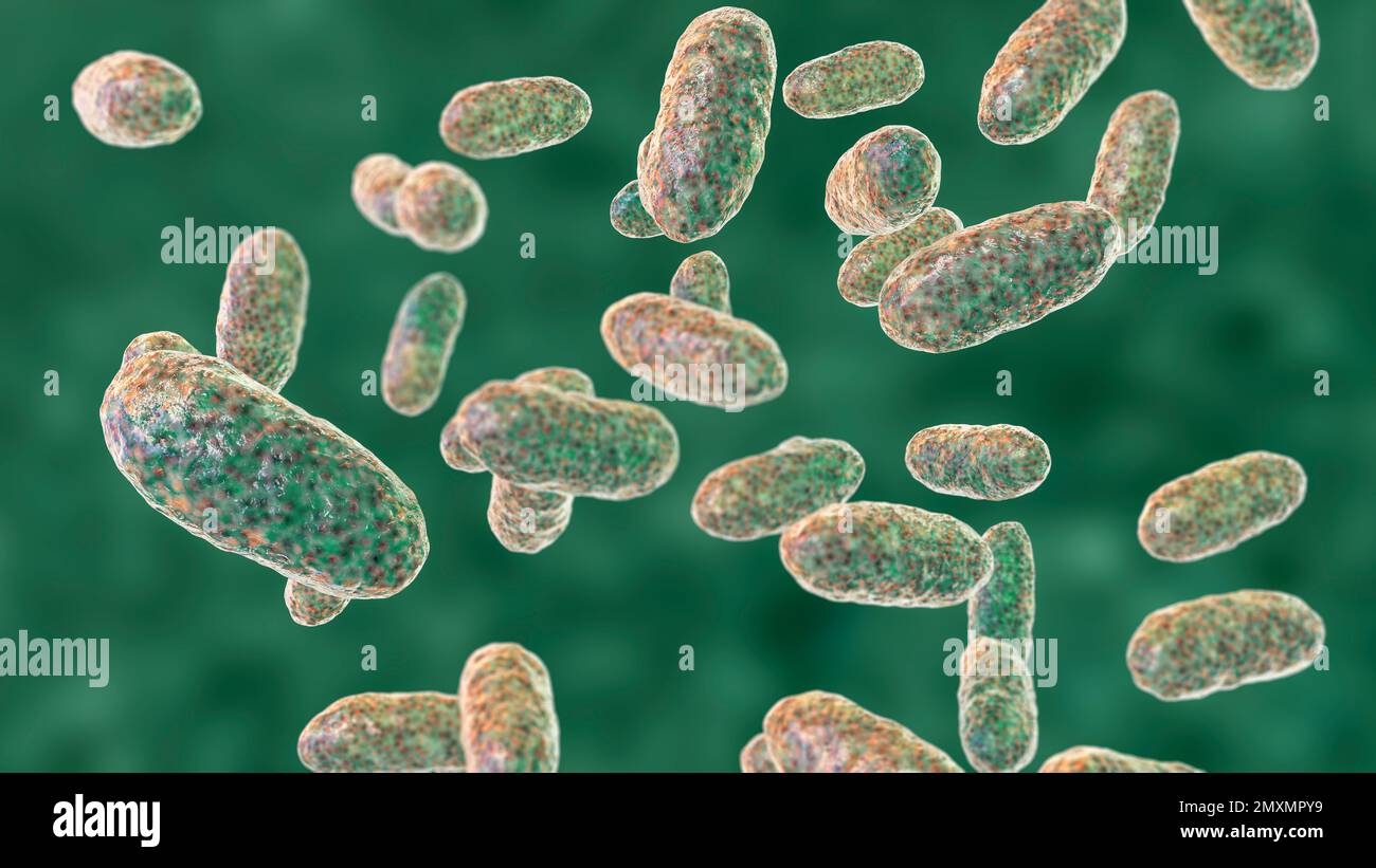 Actinomyces Pyogenes