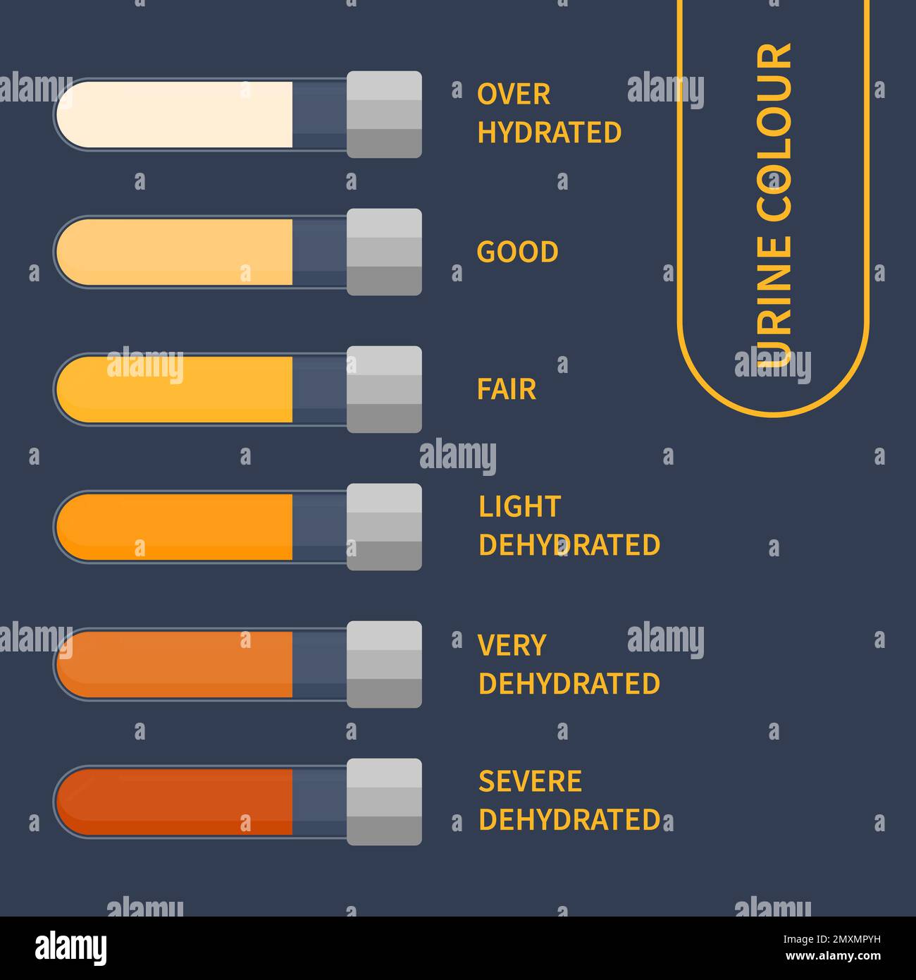 Urine colour chart, illustration Stock Photo - Alamy