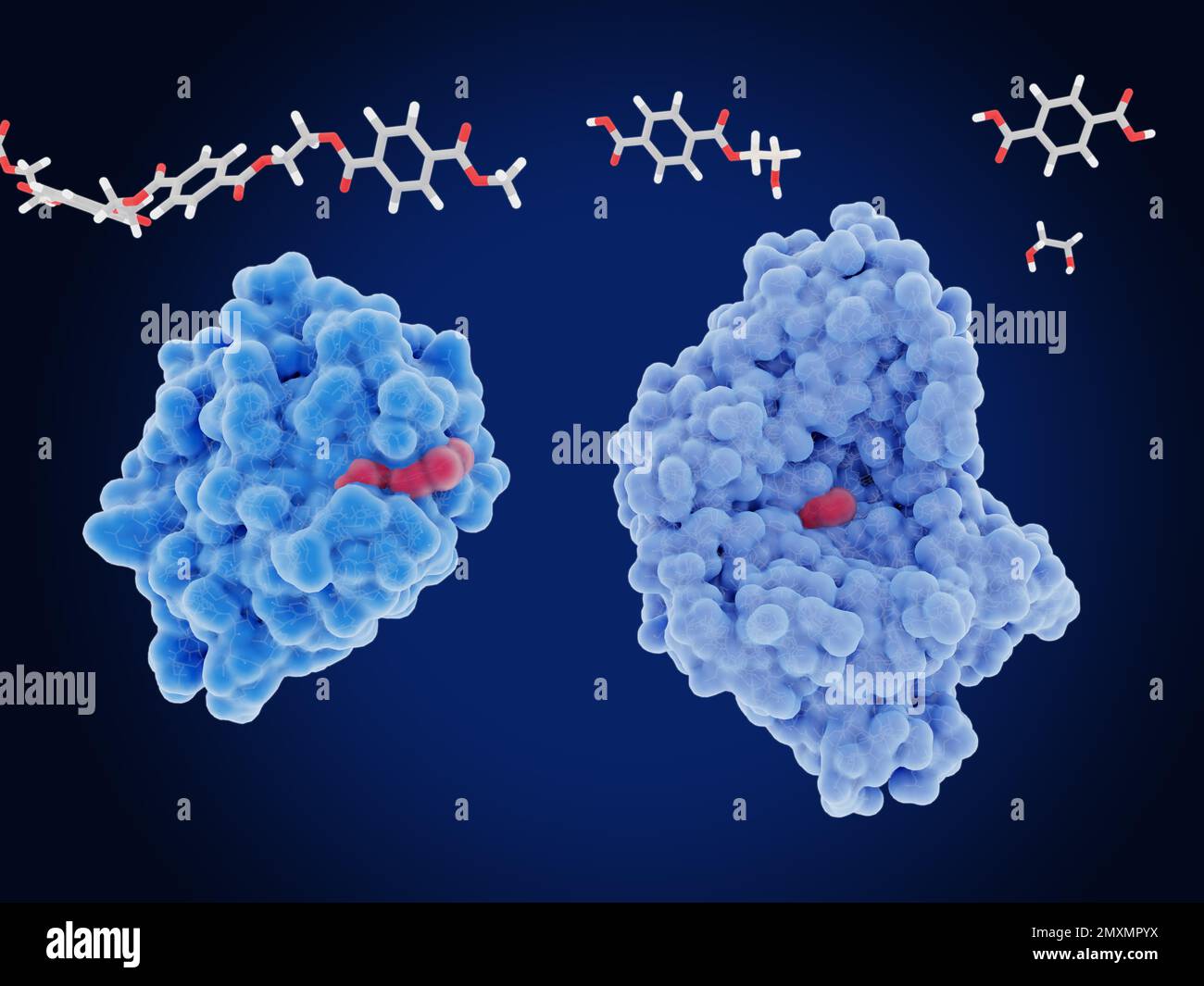 Biodegradation hi-res stock photography and images - Alamy