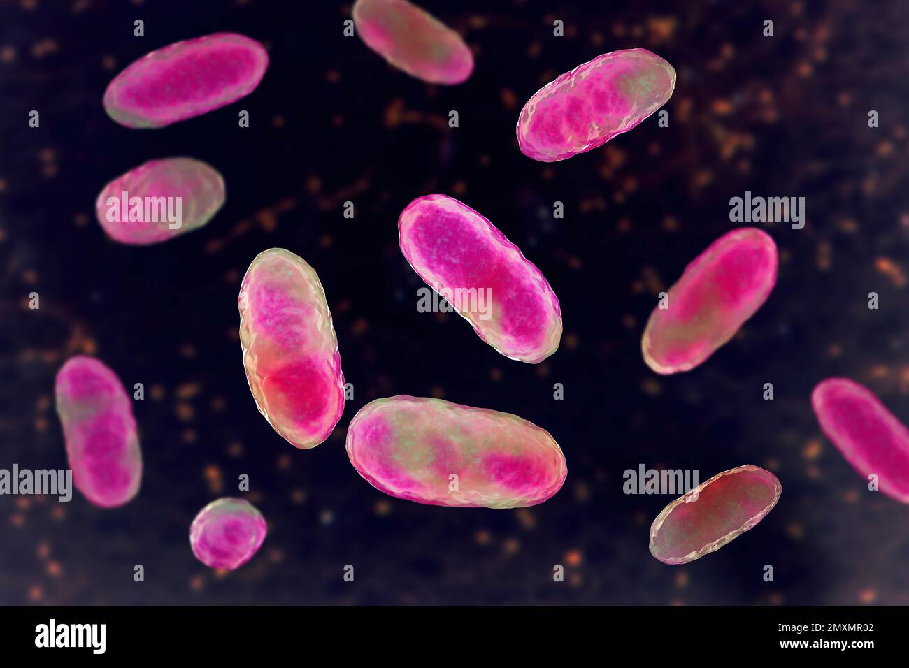 Hacek organism hi-res stock photography and images - Alamy
