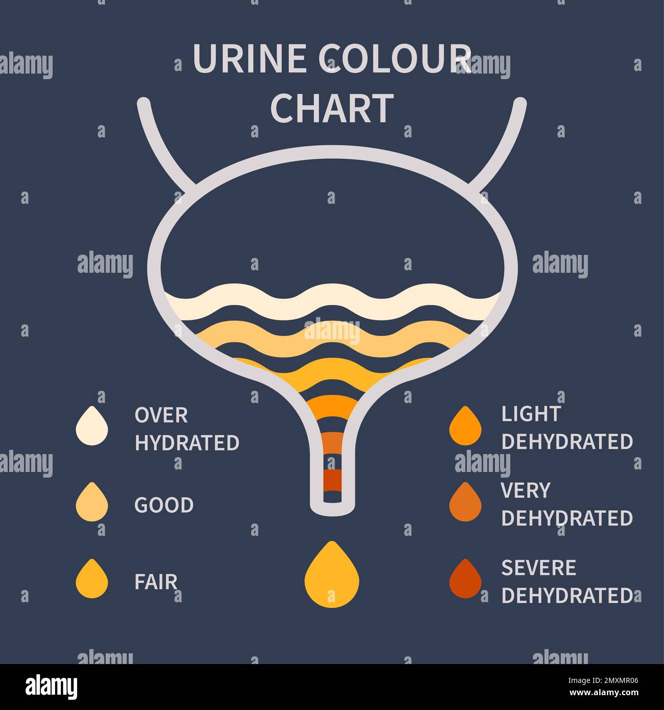 Urine colour chart, illustration Stock Photo - Alamy