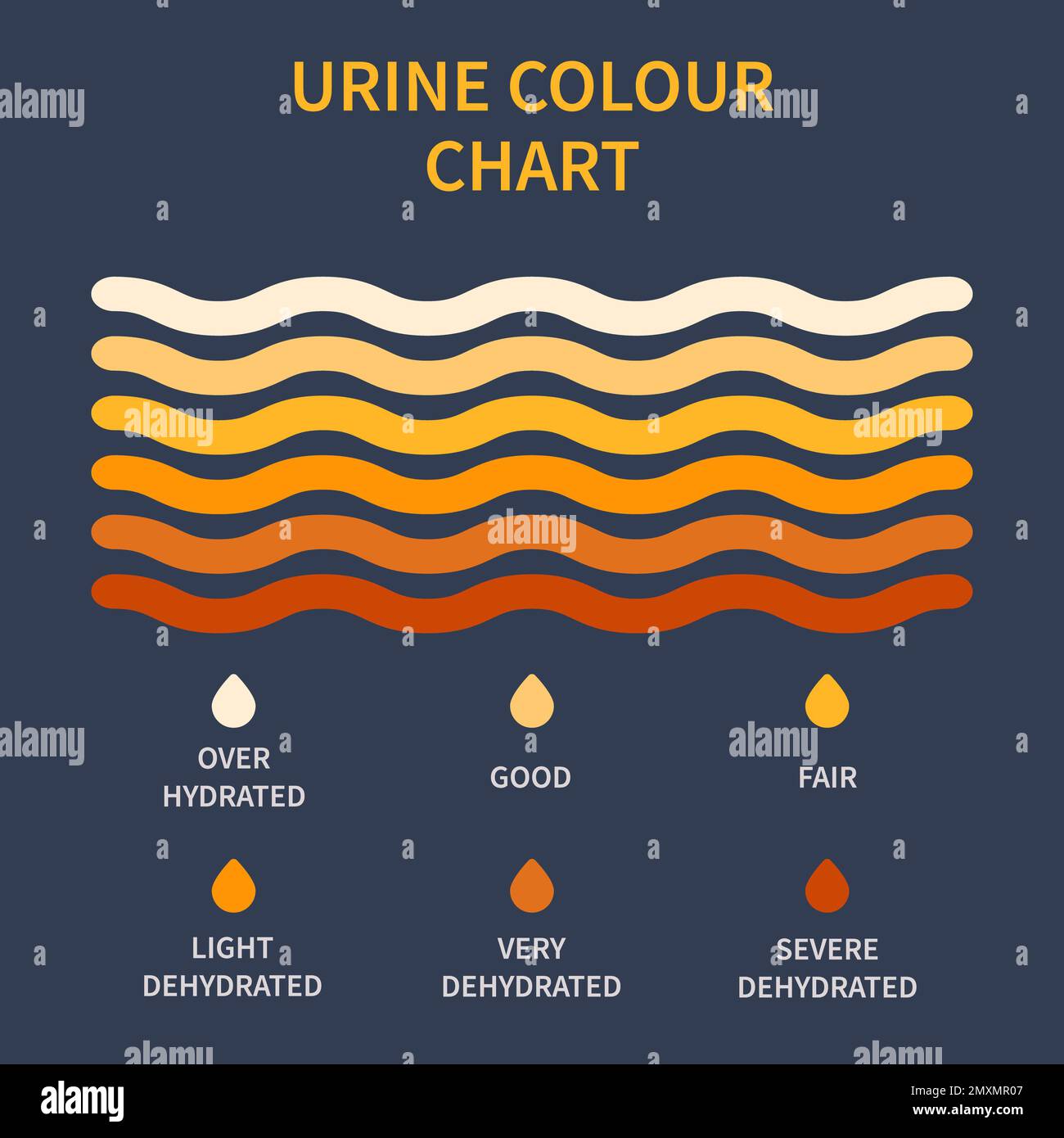 Urine colour chart, illustration Stock Photo - Alamy