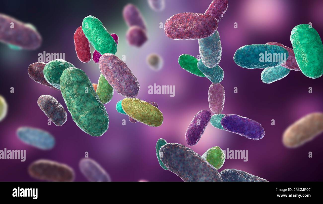 Aggregatibacter bacteria, illustration Stock Photo - Alamy