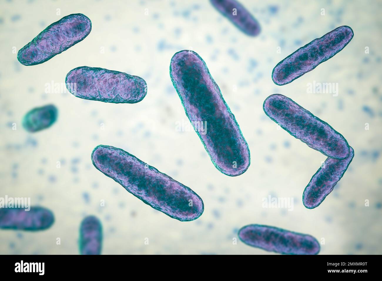 Wound bacteriology hi-res stock photography and images - Alamy