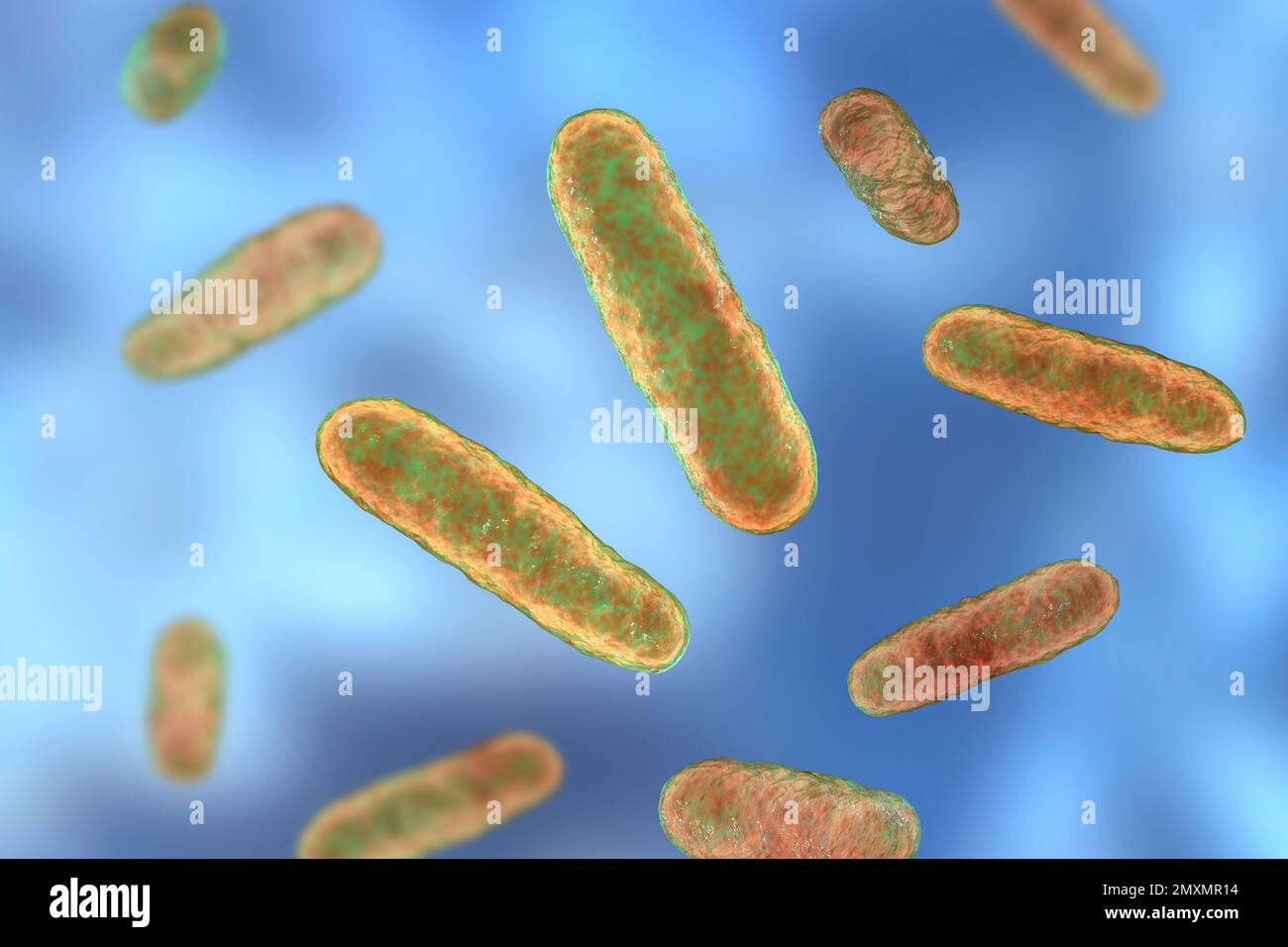 Eikenella corrodens hi-res stock photography and images - Alamy