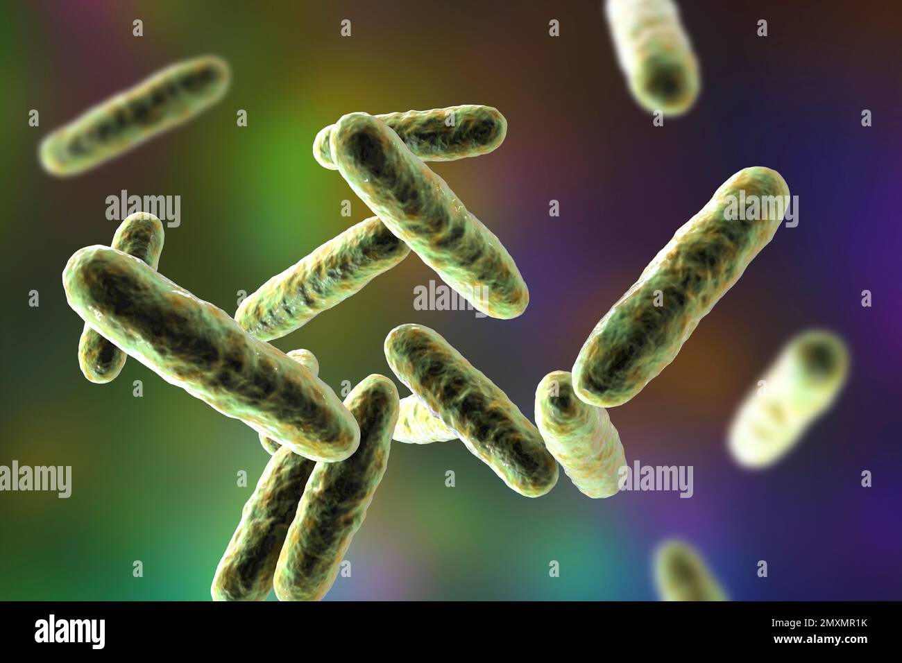 Eikenella corrodens hi-res stock photography and images - Alamy