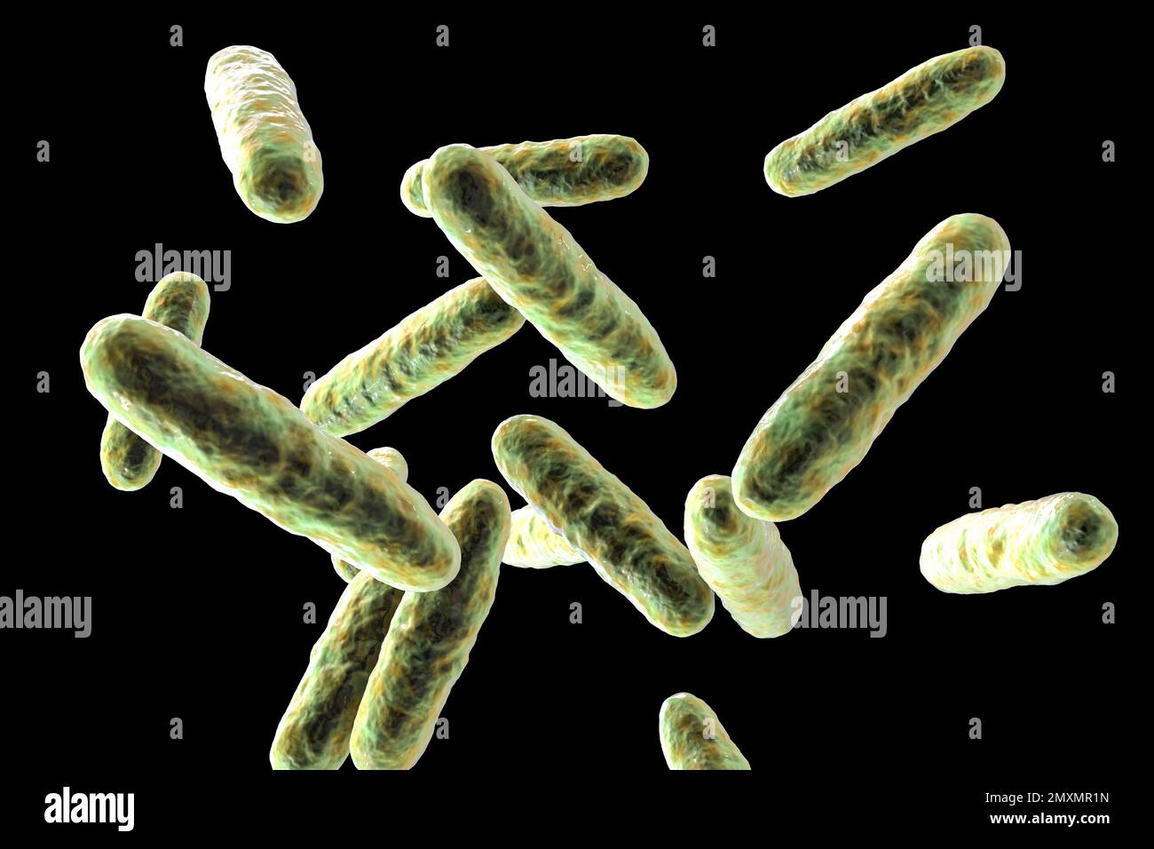 Eikenella corrodens hi-res stock photography and images - Alamy